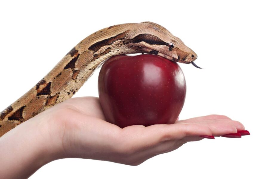 The Three Temptations of Satan - Charisma Magazine Online