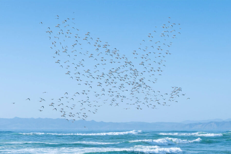 Pentecost 2024: Waves of Pentecost Unity Across the Nation - Charisma ...