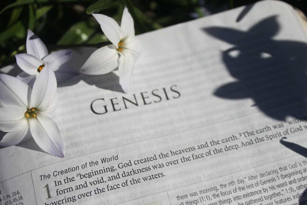 5 Ways the Church Can Restore Creation's Harmony - Charisma Magazine Online