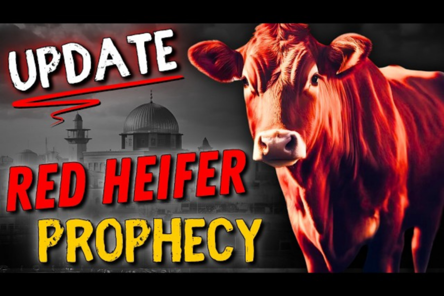 Update: What to Know About the Red Heifer Ceremony - Charisma Magazine ...