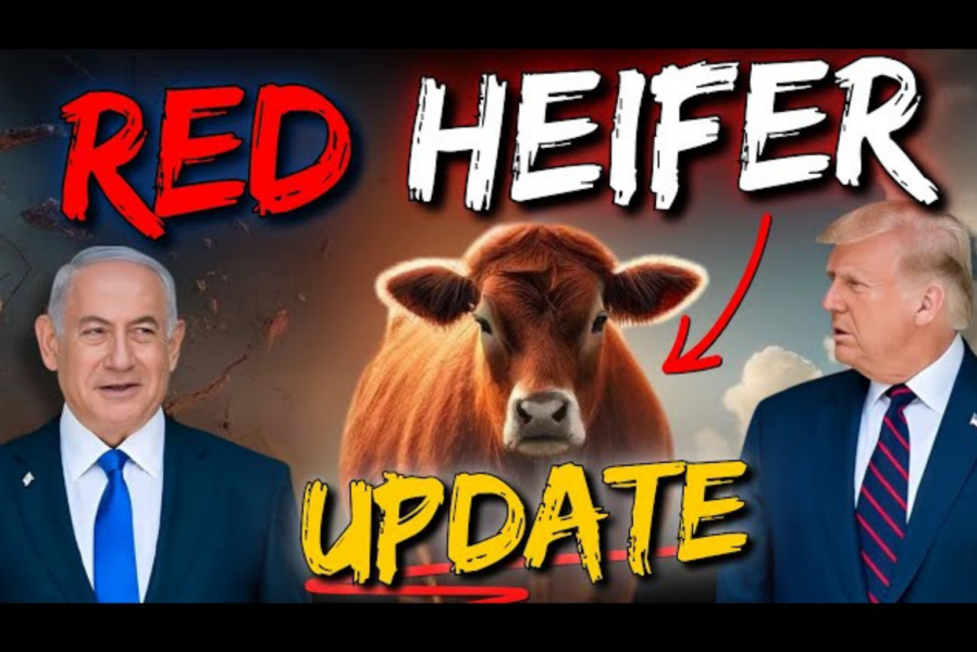 Update: Why the Red Heifer Ceremony Could Happen Soon - Charisma ...