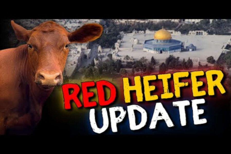 Red Heifer Delay: A Prophetic Setback or a Secret Plan? - Charisma ...