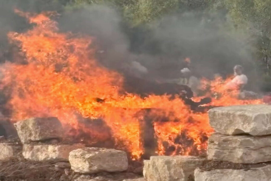 Shocking Claims Emerge About Israel's July 1 Red Heifer Ritual ...