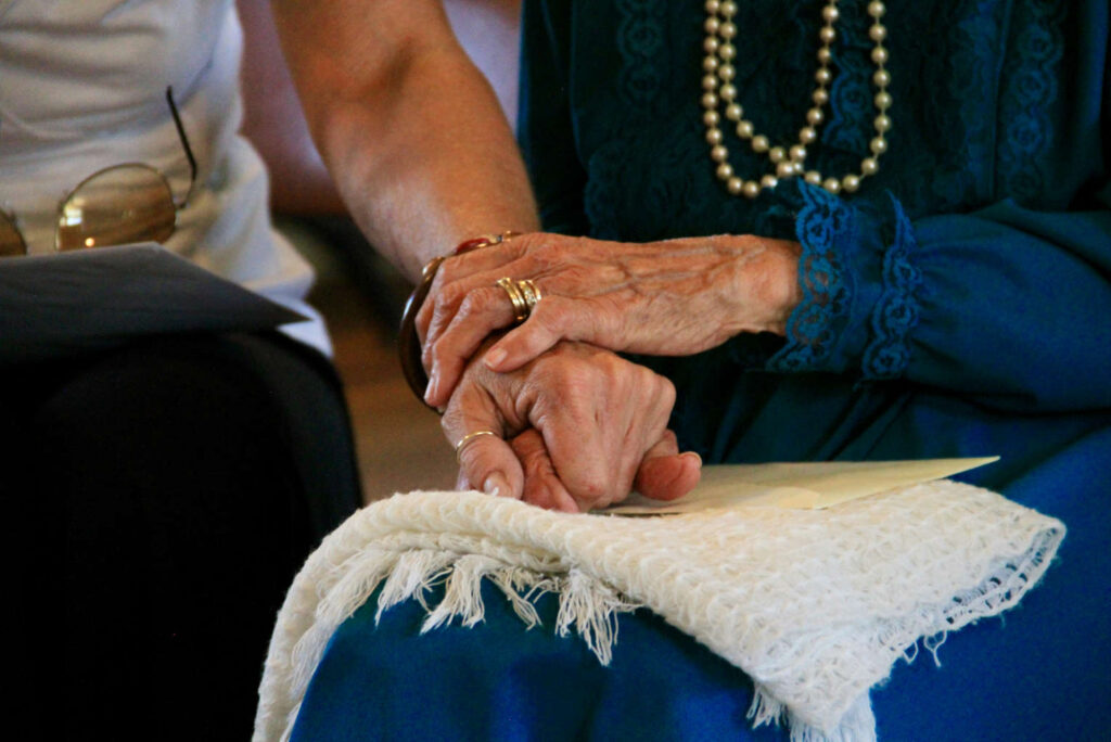 Shepherding Seniors with Grace – Steps for Starting a Safe Elder Care ...
